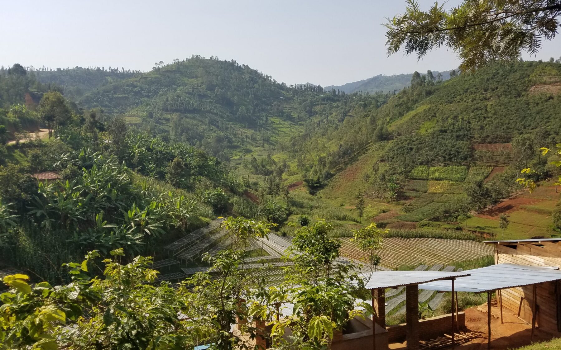 Traceability & transparency in coffee: What does it mean? - Jaunty Goat