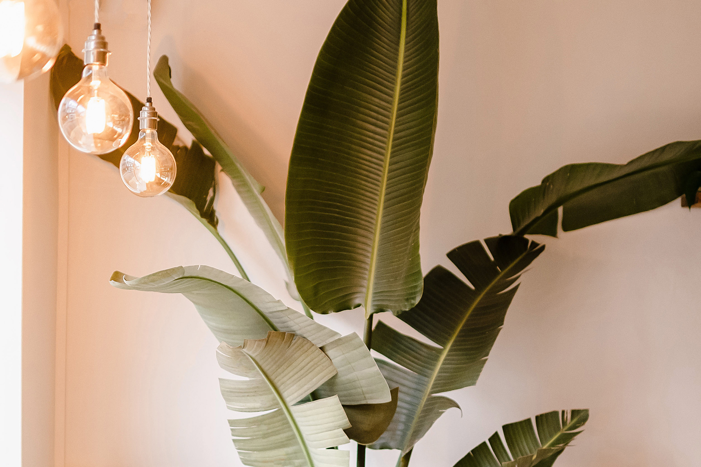 Starting off the year with trees - Jaunty Goat